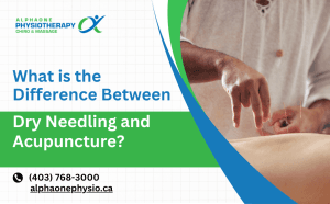 Dry Needling vs. Acupuncture: Key Differences Explained